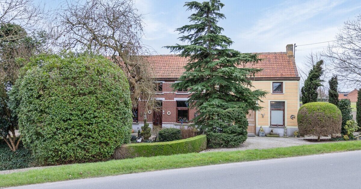 Groenendijkstraat 4, 9960 Assenede - € 358.000 | Hesters Vastgoed